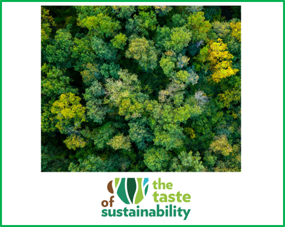 Evoca announces its commitment to the Science Based Targets initiative (SBTi). | Evoca Group